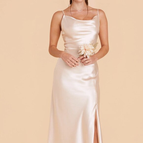 Birdy Grey | Dresses | Nwt Lisa Long Dress Shiny Satin Champagne | Poshmark